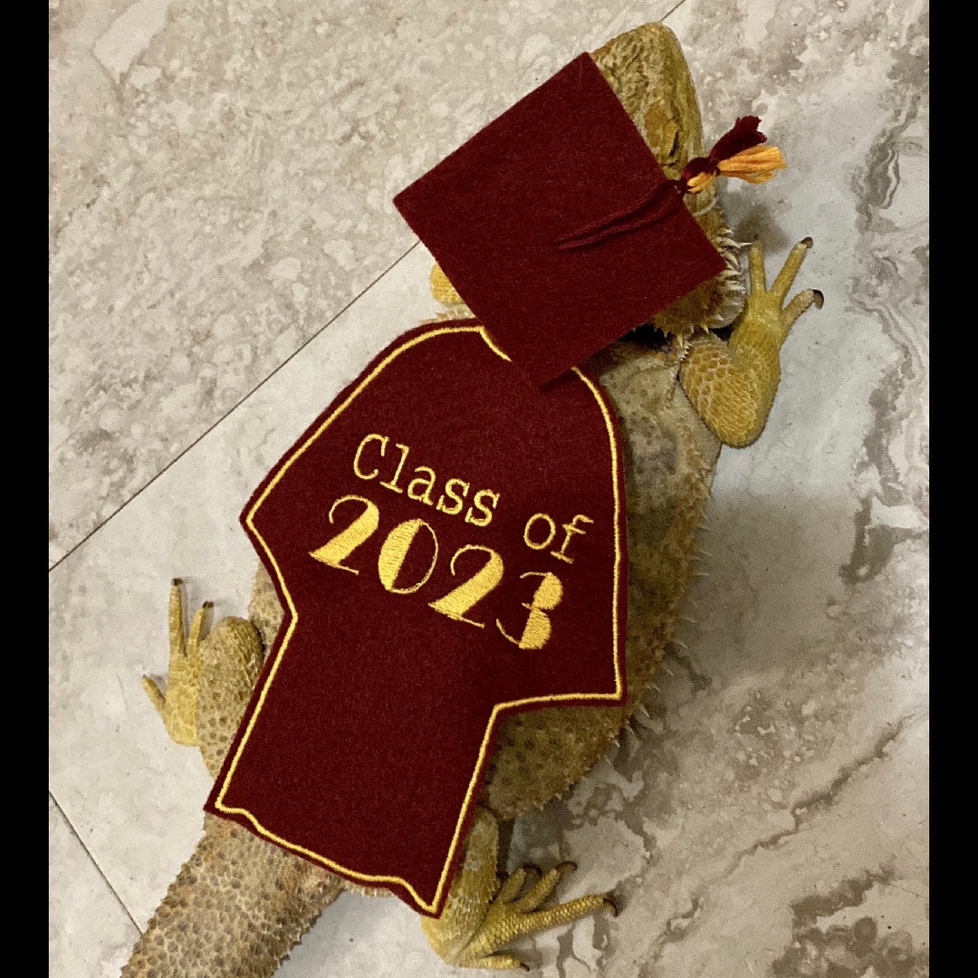 Bearded Dragon Graduation Cap and Gown - Etsy
