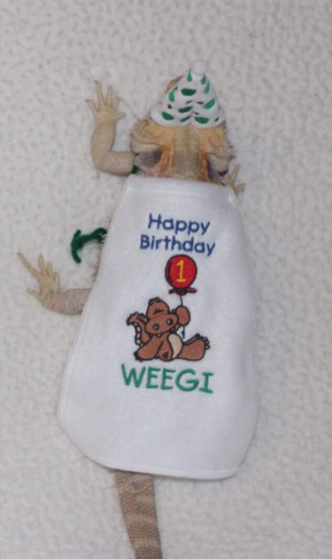 Bearded Dragon Happy Birthday Hats and Capes Costume - Etsy