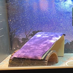 Bearded Dragon Ramp Covers or Tank Floor Mats Pet Mat or Pad - Etsy