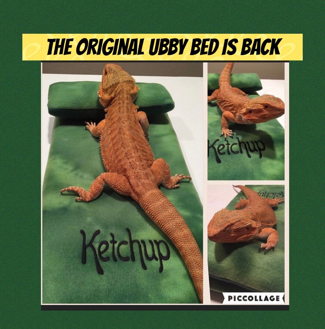 Bearded Dragon Bed Reptile Bed Ubby Bed - Etsy