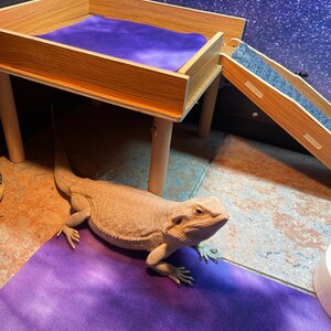 Bearded Dragon Ramp Covers or Tank Floor Mats Pet Mat or Pad - Etsy