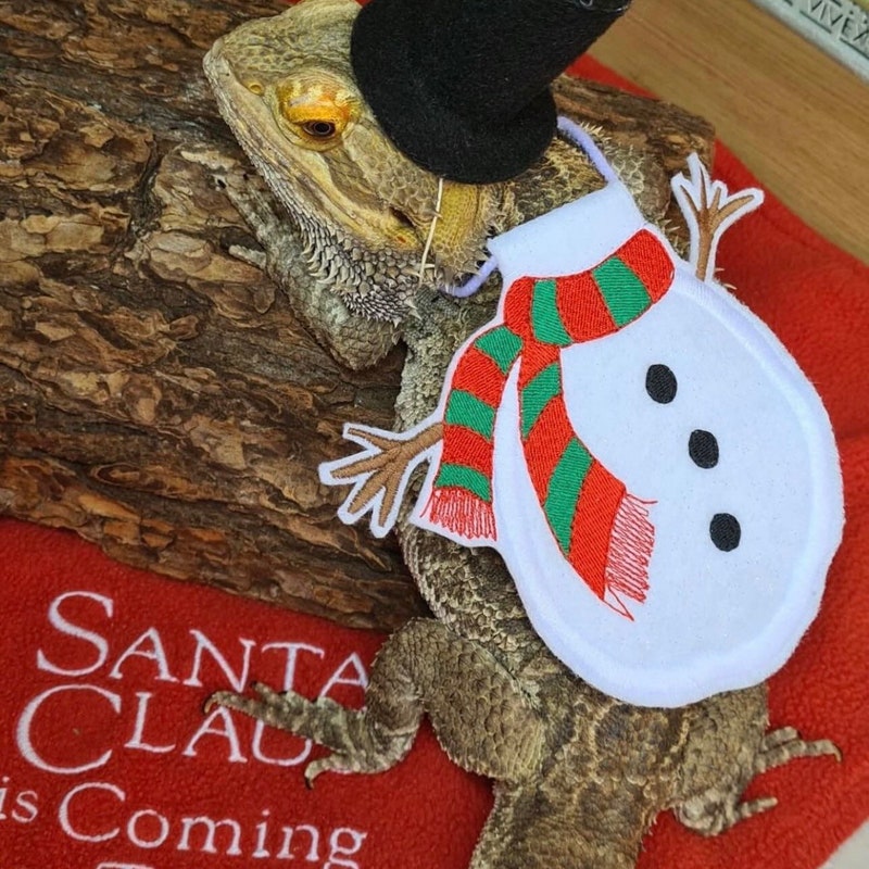 Snowman Costume - Etsy