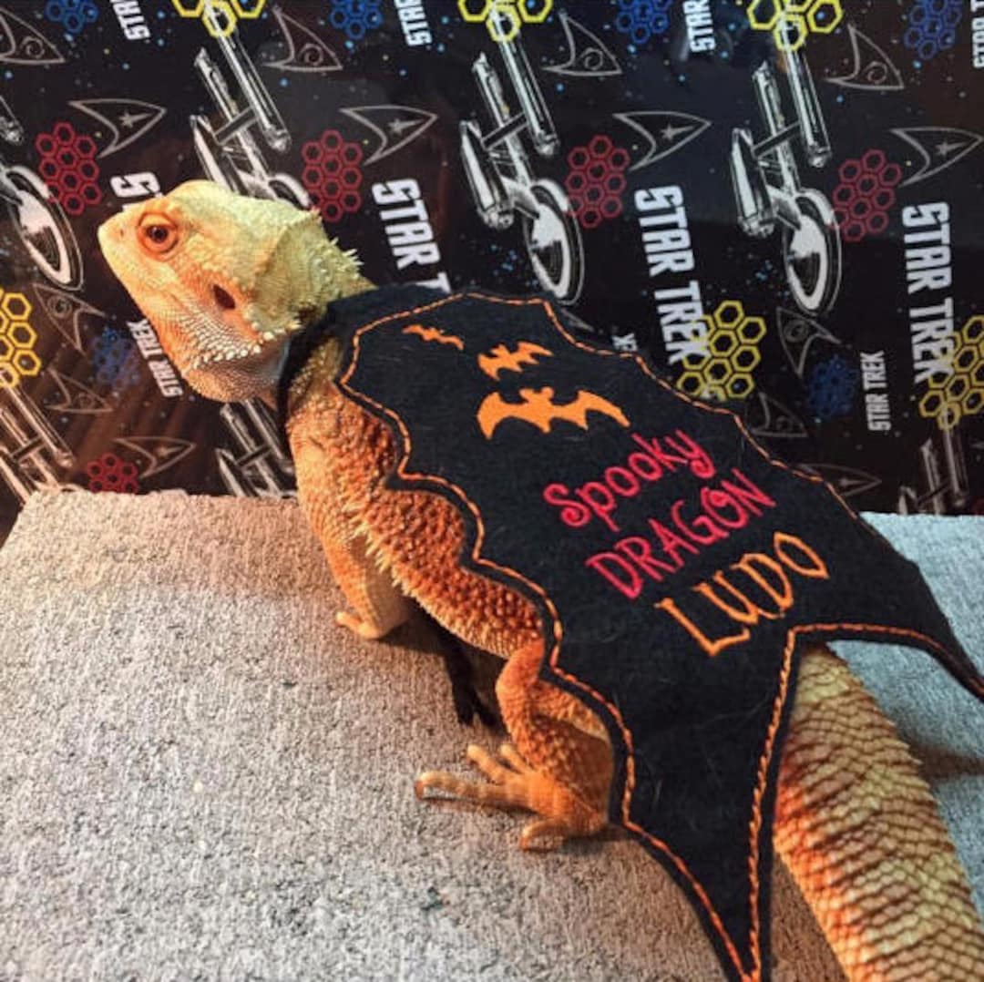 Bearded Dragon Halloween Costume - Cape - Spooky Dragon Personalized - Etsy
