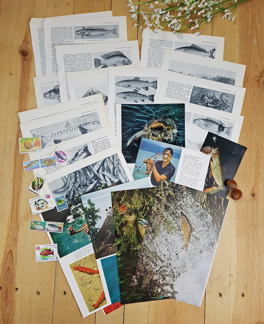 Vintage Fish Book Pages and Fish Stamps Vintage Ephemera Paper Kit 25 ...