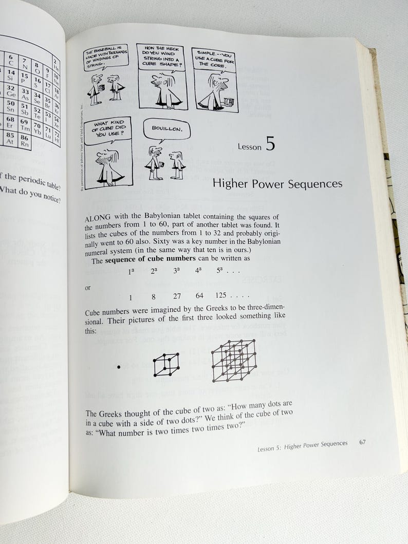 1970 Mathematics Book: A Human Endeavor - Etsy