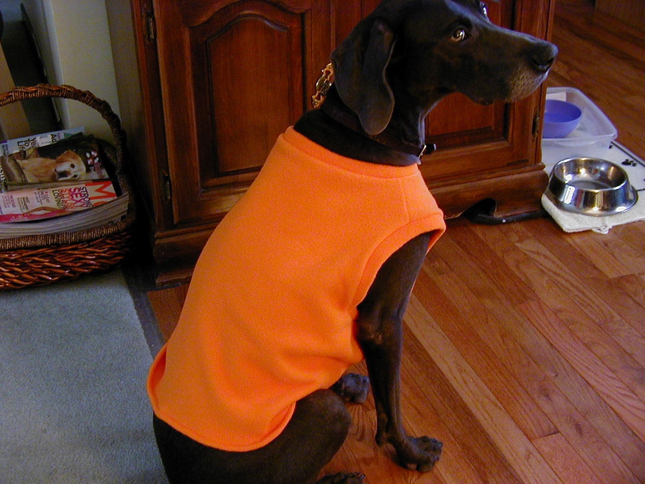 Orange Fleece - Etsy