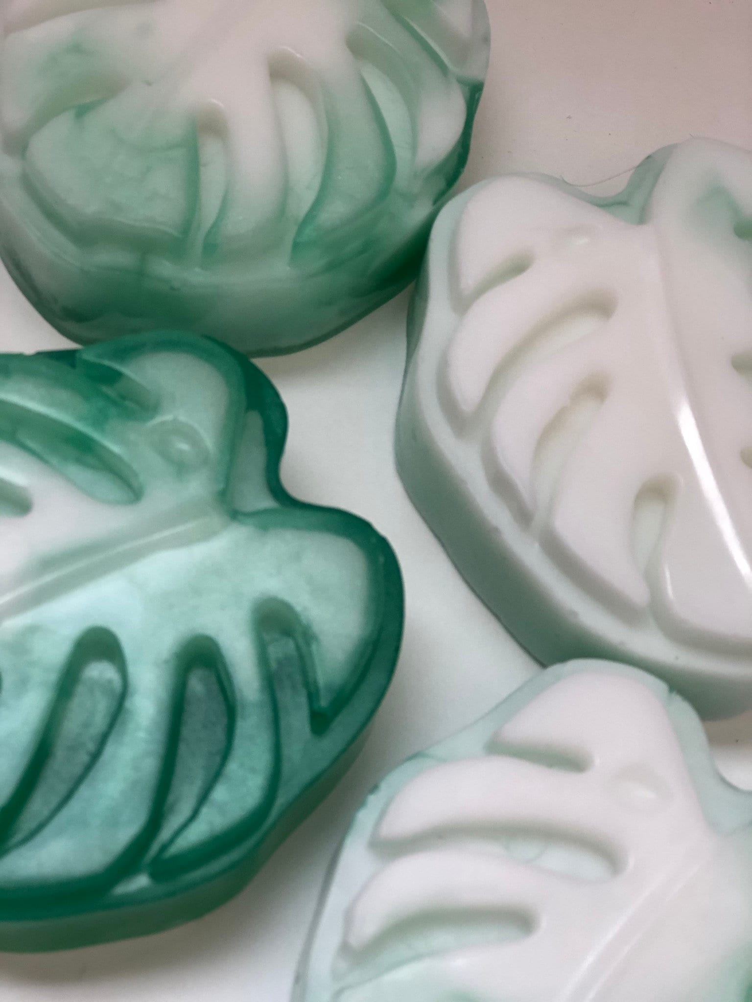 Monstera Leaf Hand Soaps - Etsy
