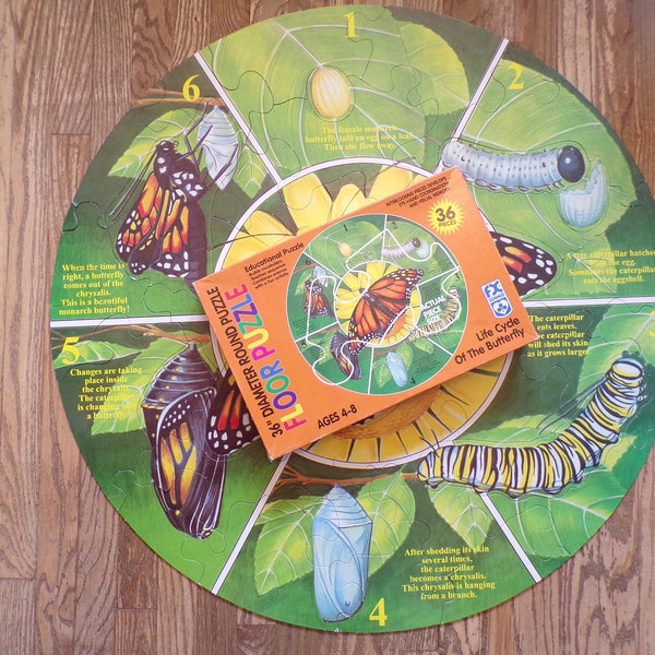Life Cycle Puzzle - Etsy
