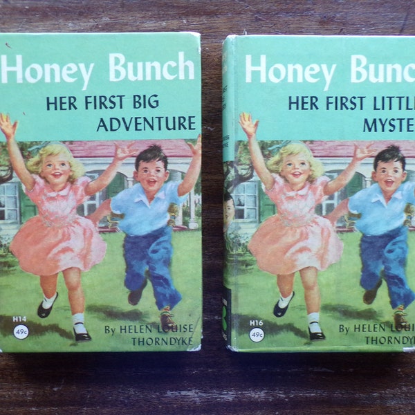 Honey Bunch Book - Etsy