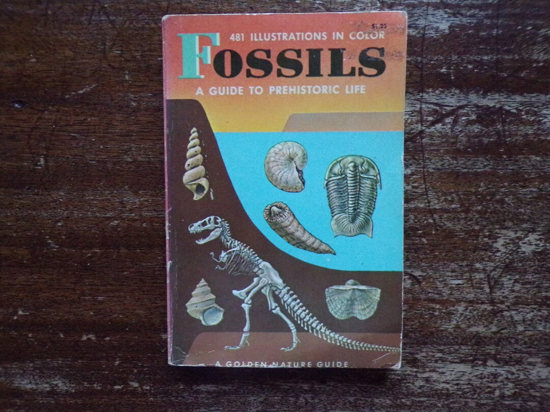 Golden Guide to Fossils ~ A Guide to Prehistoric Life - Etsy