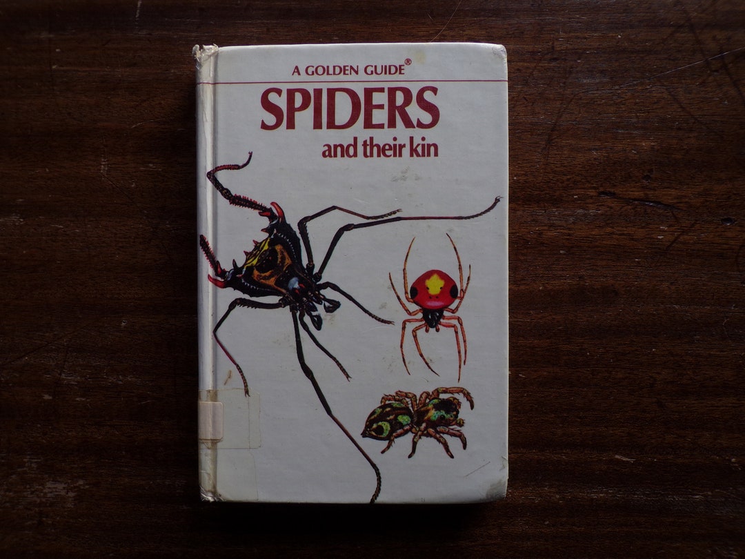 Golden Guide to Spiders and Their Kin ~ 1968 Library Binding - Etsy