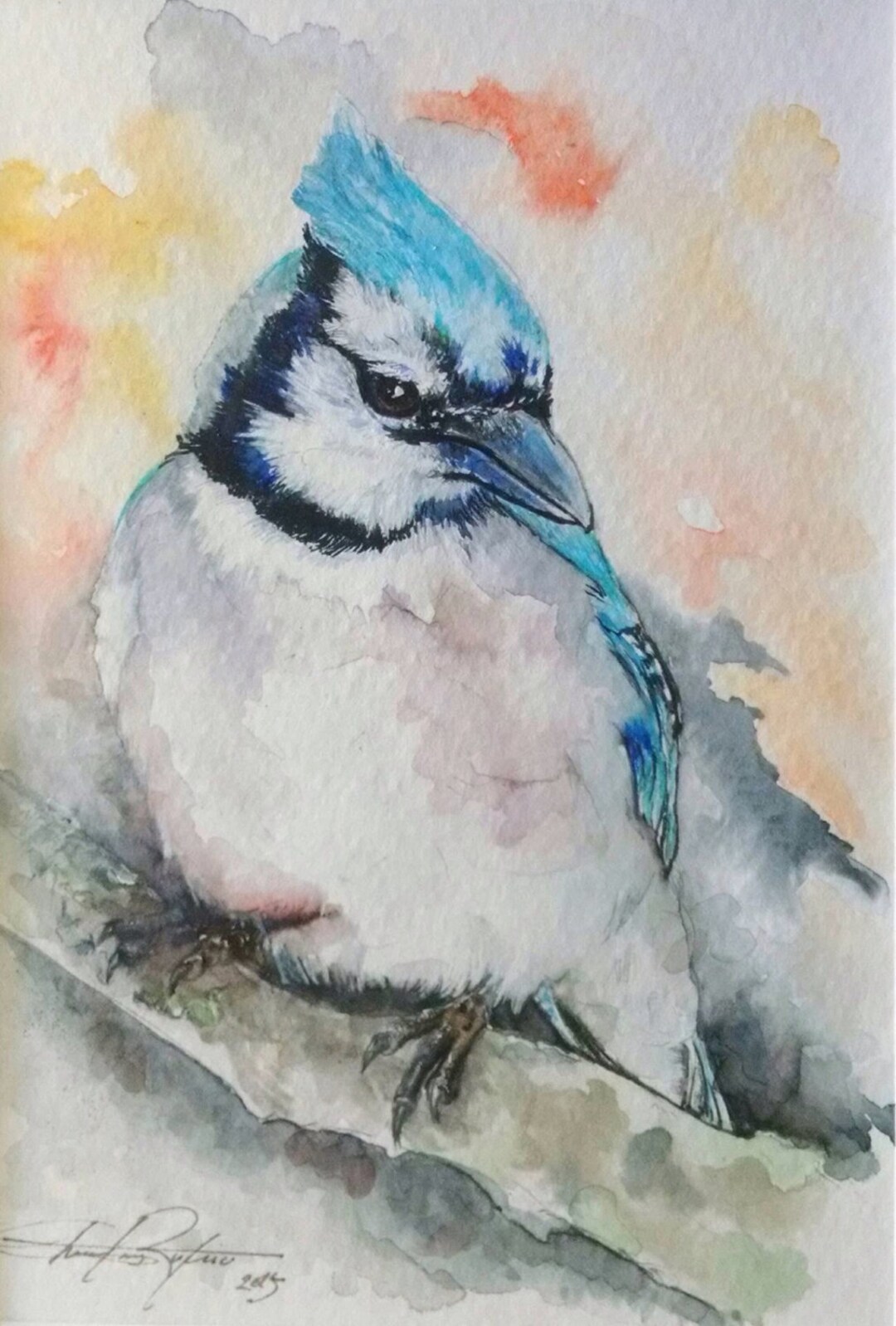 Blue Jay Original Watercolor - Etsy