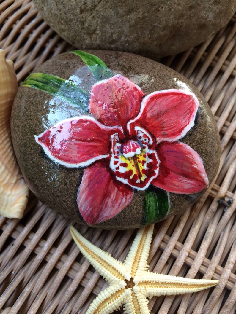 Orchid Handpainted on Stone - Etsy UK