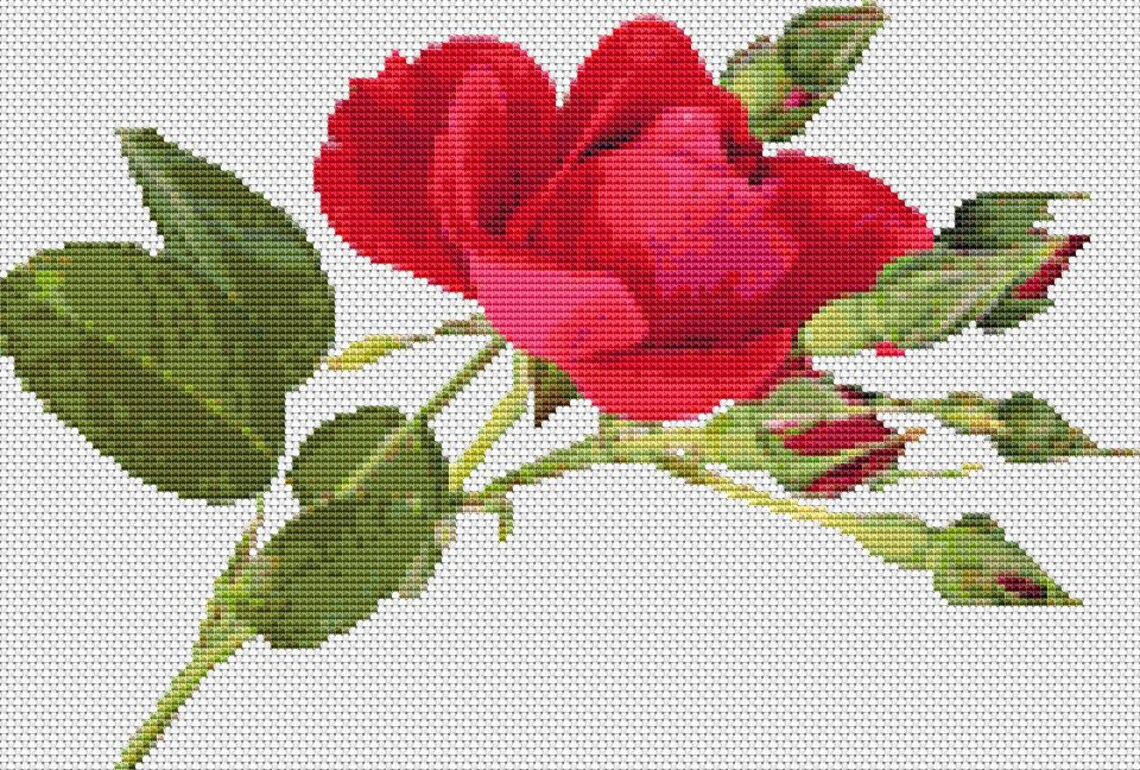 Red Rose Counted Cross Stitch Chart - Etsy