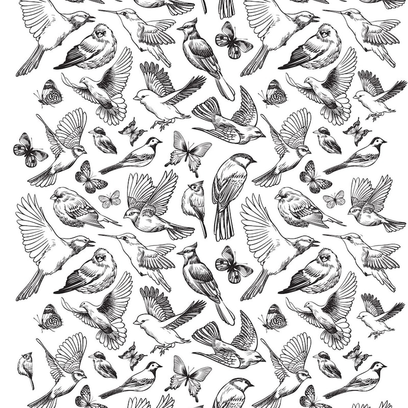 Bird Transfer Decals - Etsy