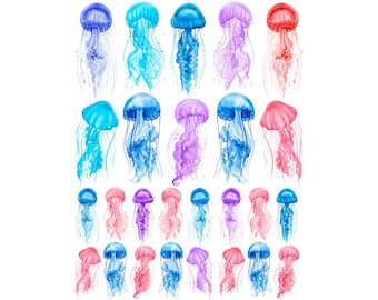 Ceramic Decal Overglaze Lake Fish - Etsy