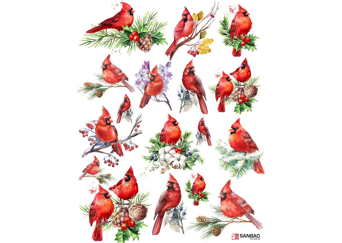 Ceramic Decal Overglaze Cardinal - Etsy