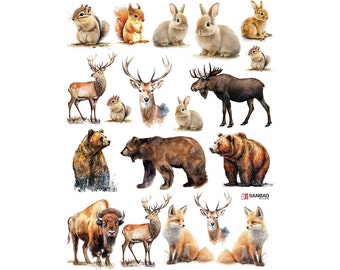 Ceramic Decal - Overglaze Decal Woodland Wildlife - Etsy