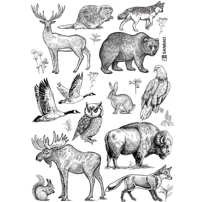 Woodland Transfer Decals - Etsy