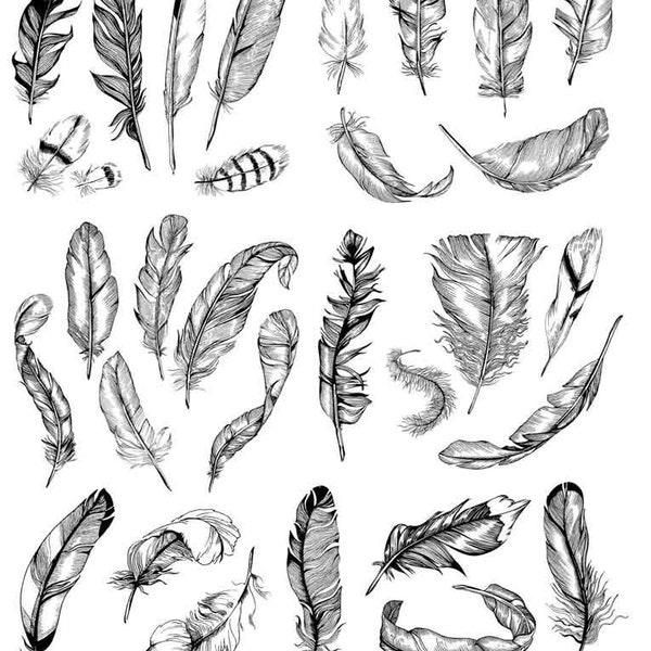 Ceramic Decal, Underglaze Transfer - Feather - Etsy Canada