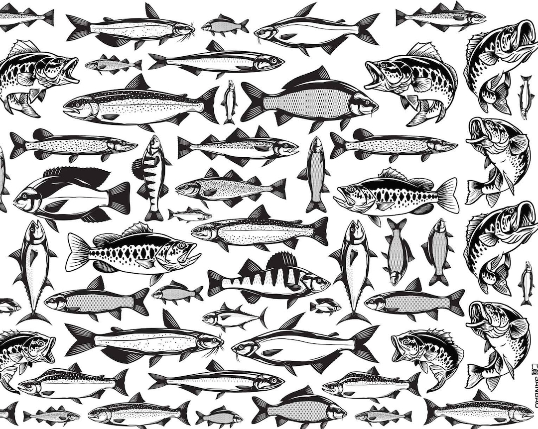 Ceramic Decal, Underglaze Transfer - Lake Fish - Etsy