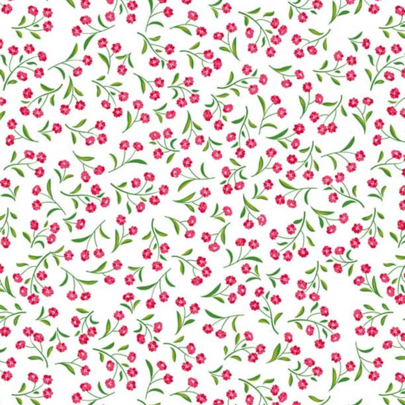 Sarah Transparency Filedot.to - Etsy Canada