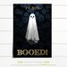Halloween we've Been Booed Ghost - Etsy