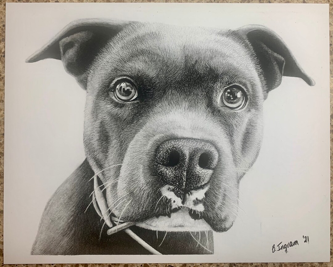 Custom Pet Portrait | Custom Dog Portrait| Pet Commission | Custom ...