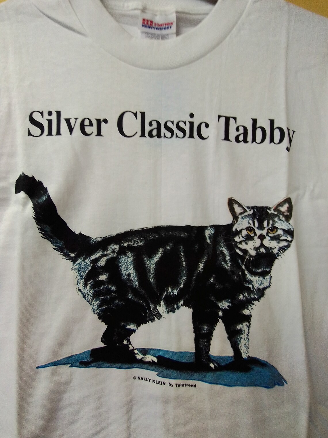 Silver Tabby Classic Kitty T-shirt on a Hanes Heavyweight T-shirt - Etsy