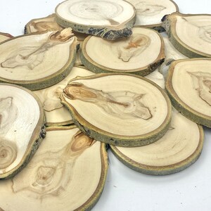 Aspen Wood Unique Shaped Wood Slices - Odd Shaped Wood - Wood Burning ...