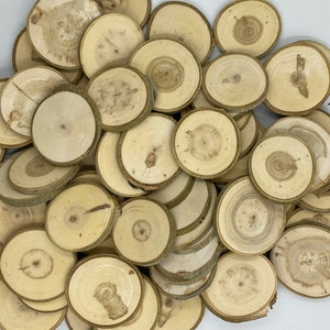 Bulk 2.5-3" Wood Slices Aspen - Rustic Wedding Decor - Magnets - Wood ...