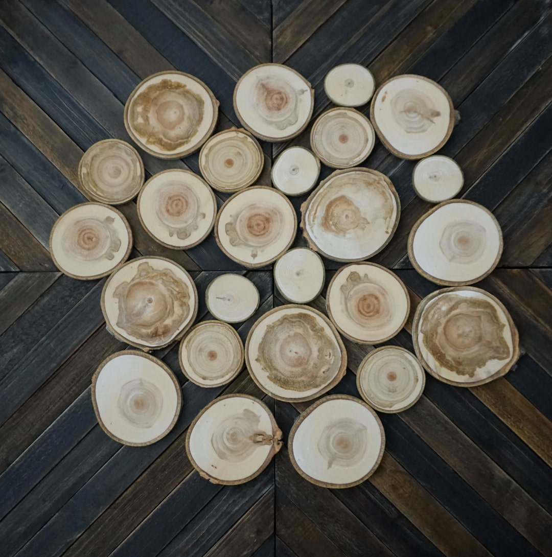 Set of 25 Assorted Wood Slices - Aspen Wood - Tree Slice Assortment ...