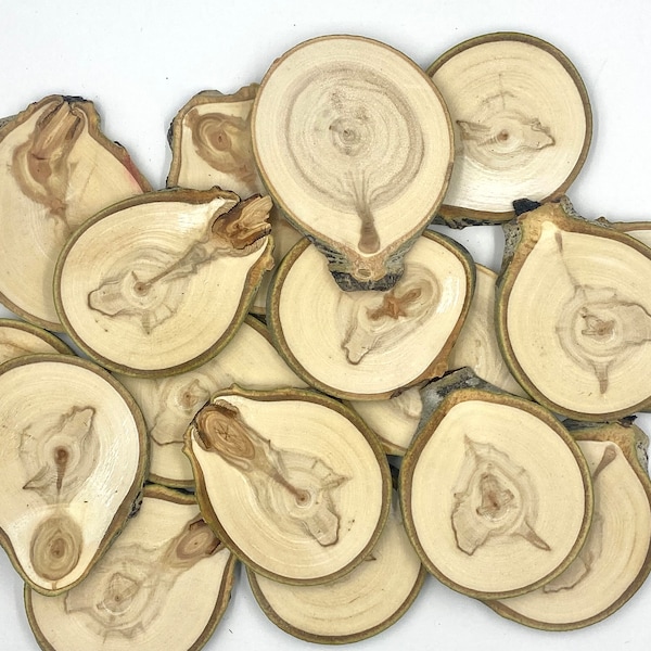 Wood Slices for Wood Burning Craft - Etsy