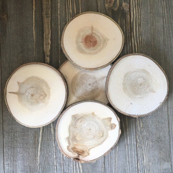 Tree Branch Slices - Etsy