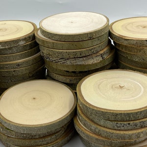 Bulk 3"-3.5" Wood Slices (aspen) - Rustic Wedding Favors - Tree Slices ...
