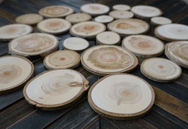 Set of 25 Assorted Wood Slices - Aspen Wood - Tree Slice Assortment ...
