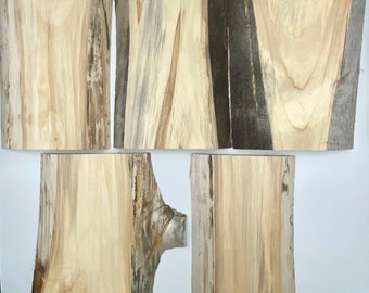 Samples Aspen Wood Slices Tree Slices Wooden Disc Save - Etsy