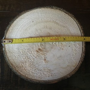 Set of 35 or 40 Aspen Slabs (3-4") Wood Slices - Rustic Wedding Decor ...