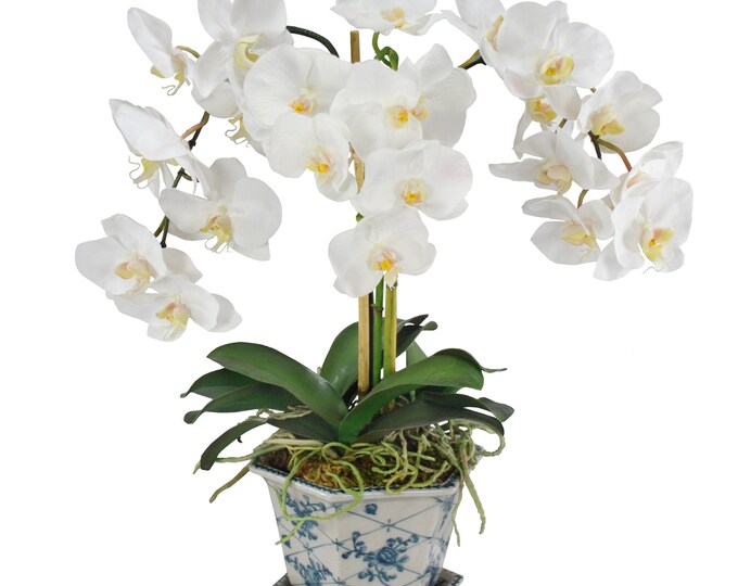 White Orchid in Blue and White Cachepot - Etsy