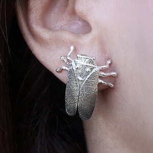 Stud Silver Cicada Earrings Insect Jewelry Unusual Earrings - Etsy