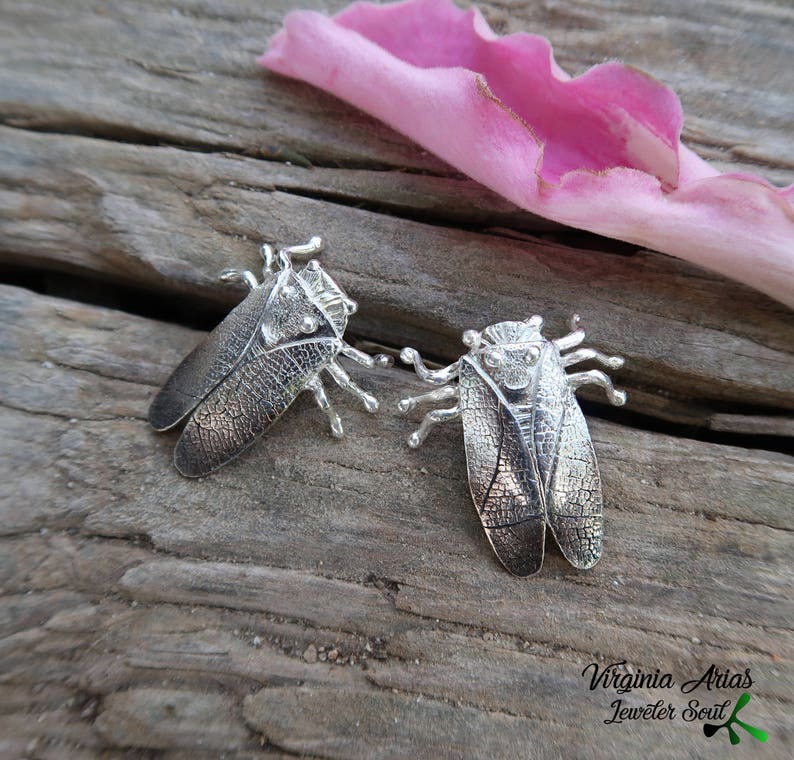 Stud Silver Cicada Earrings Insect Jewelry Unusual Earrings - Etsy