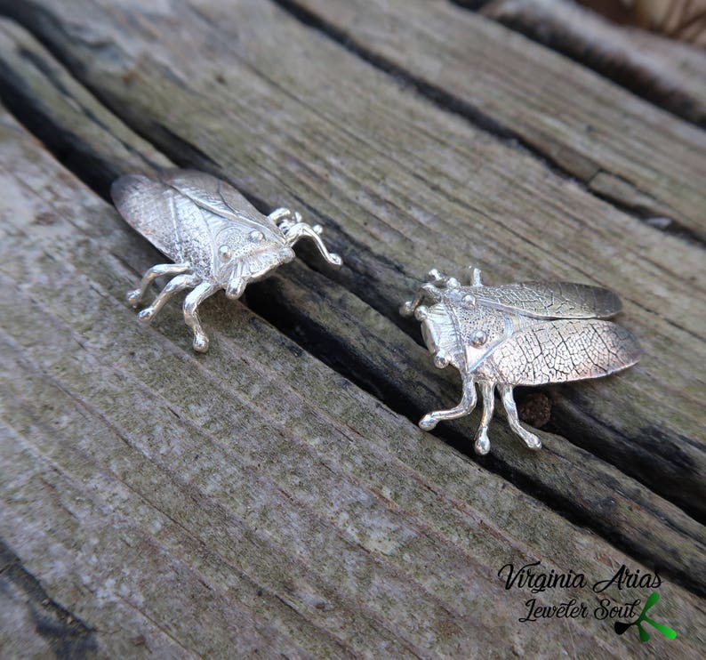 Stud Silver Cicada Earrings Insect Jewelry Unusual Earrings - Etsy
