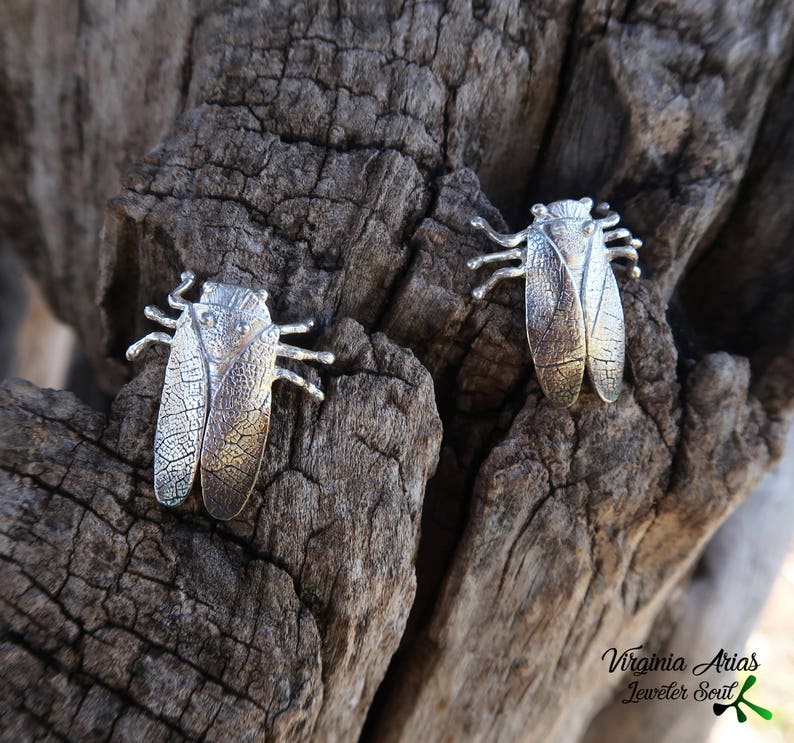 Stud Silver Cicada Earrings Insect Jewelry Unusual Earrings - Etsy