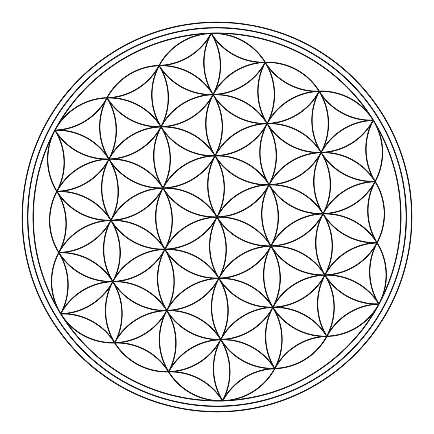 Flower of Life - Art Therapy Coloring Canvas - Canvas Coloring on ...