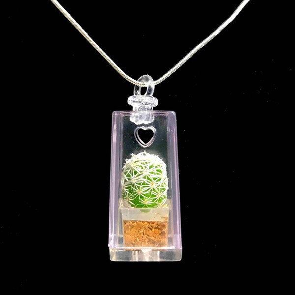 Terrarium Necklace - Etsy