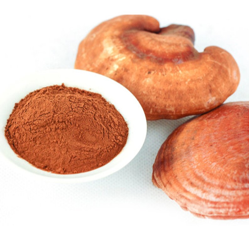 Organic Red Reishi Mushroom Powder 4:1 Extract 2 Oz - Etsy