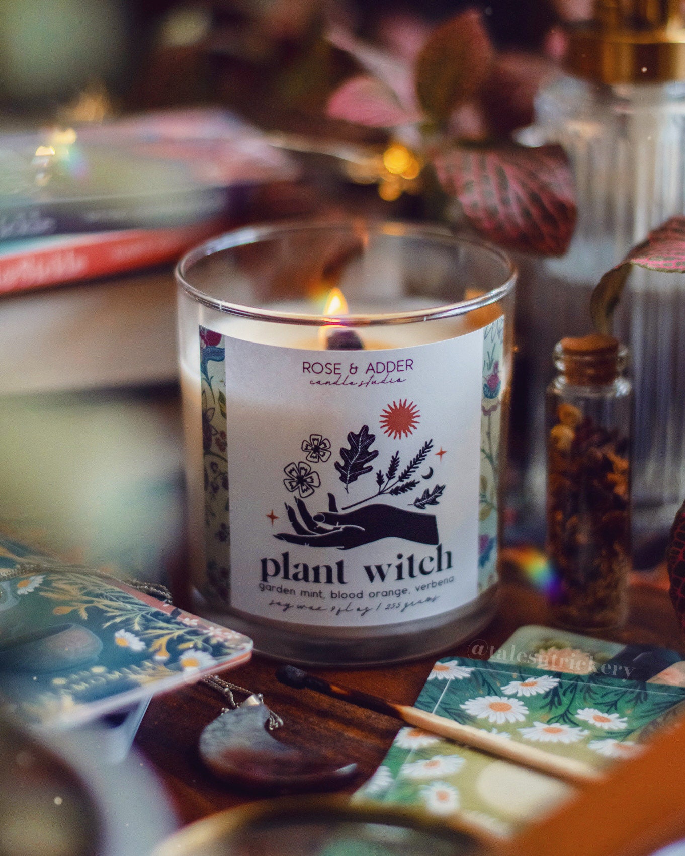 Wicks for Plant - Etsy