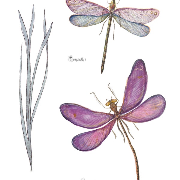 Dragonfly Print - Etsy