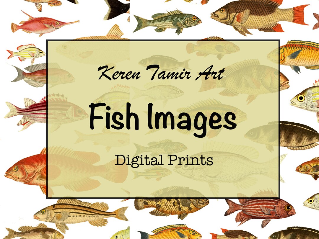 Fish Illustrations- Printable Ephemera - Etsy