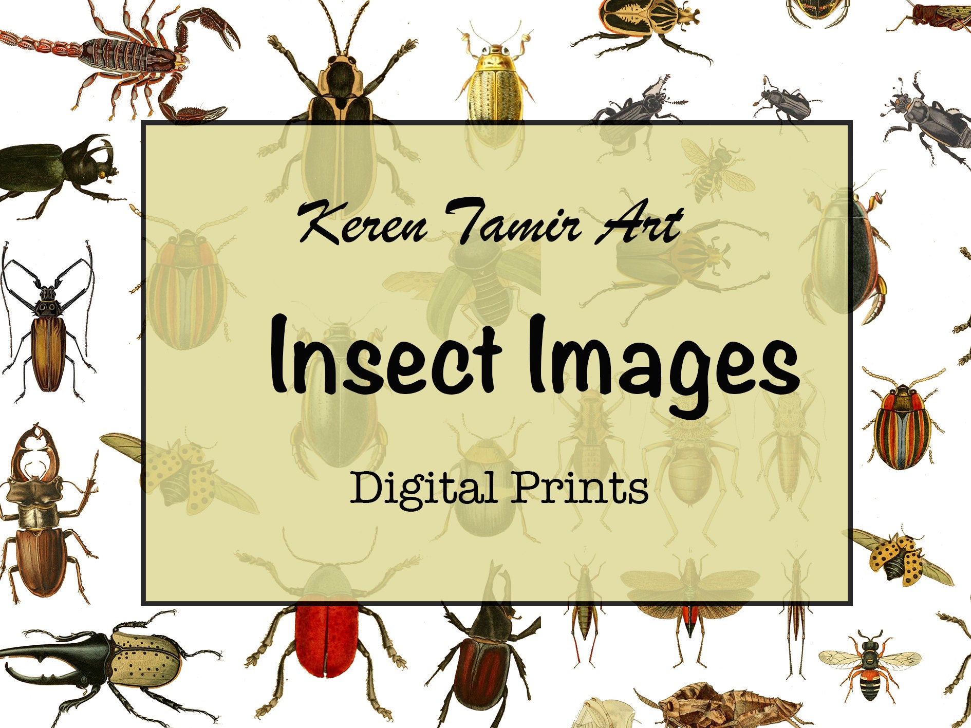 Insects Illustrations- Printable Ephemera - Etsy